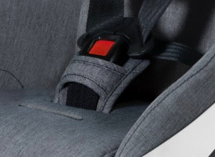 Protector Entrepiernas (Buckle pad) – Clek Chile